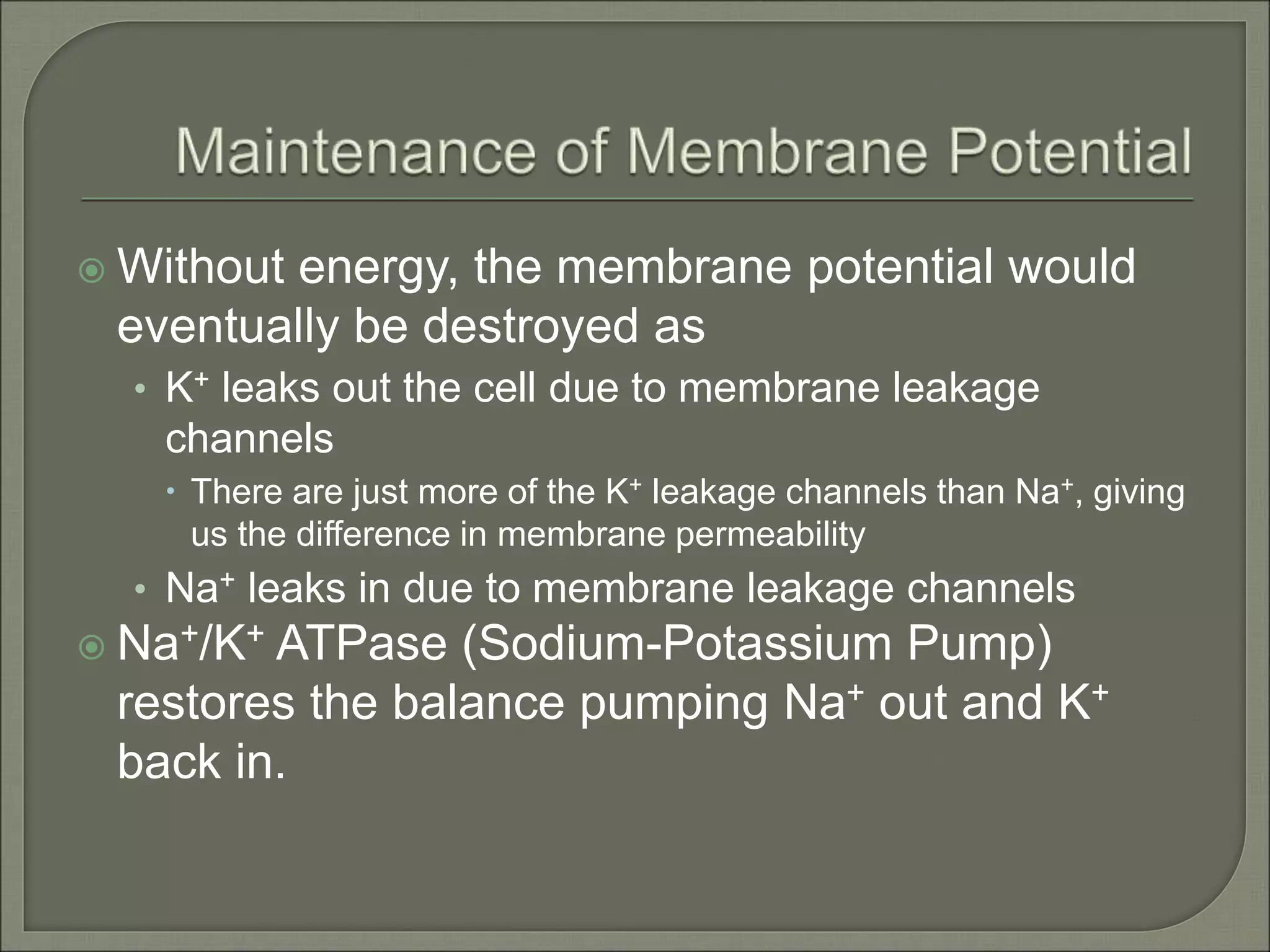 Membrane_Potentials_2021-46887.ppt