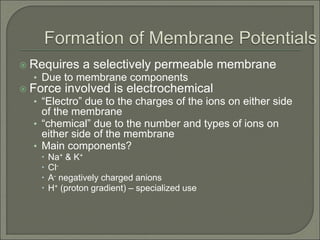Membrane_Potentials_2021-46887.ppt
