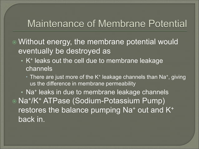 Membrane_Potentials_2021-46887.ppt