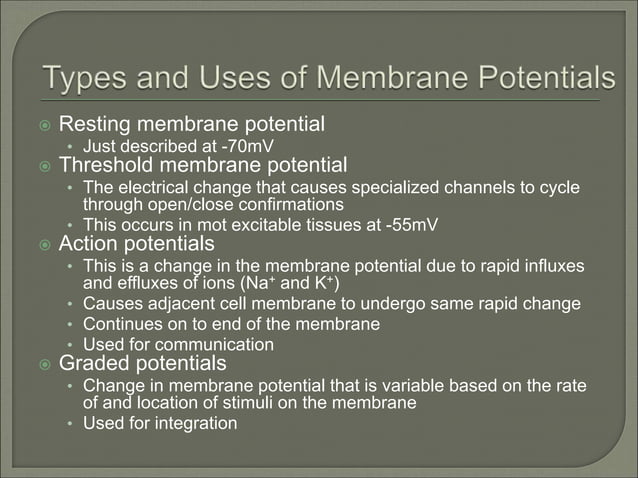 Membrane_Potentials_2021-46887.ppt