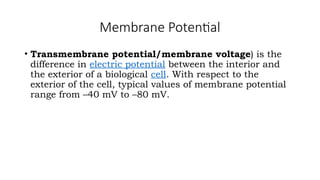 Membrane Potentials and Excitable Tissues.pptx