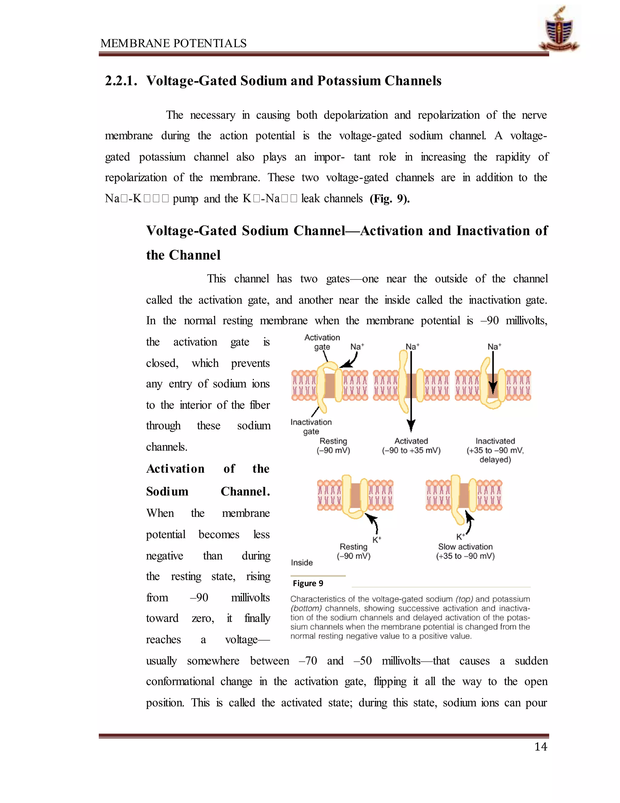Membrane potentials | PDF
