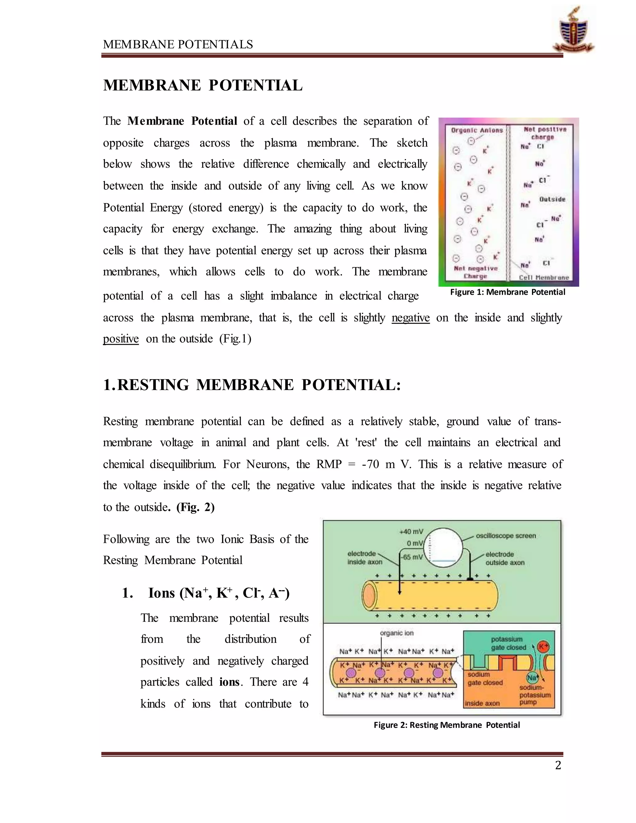Membrane potentials | PDF