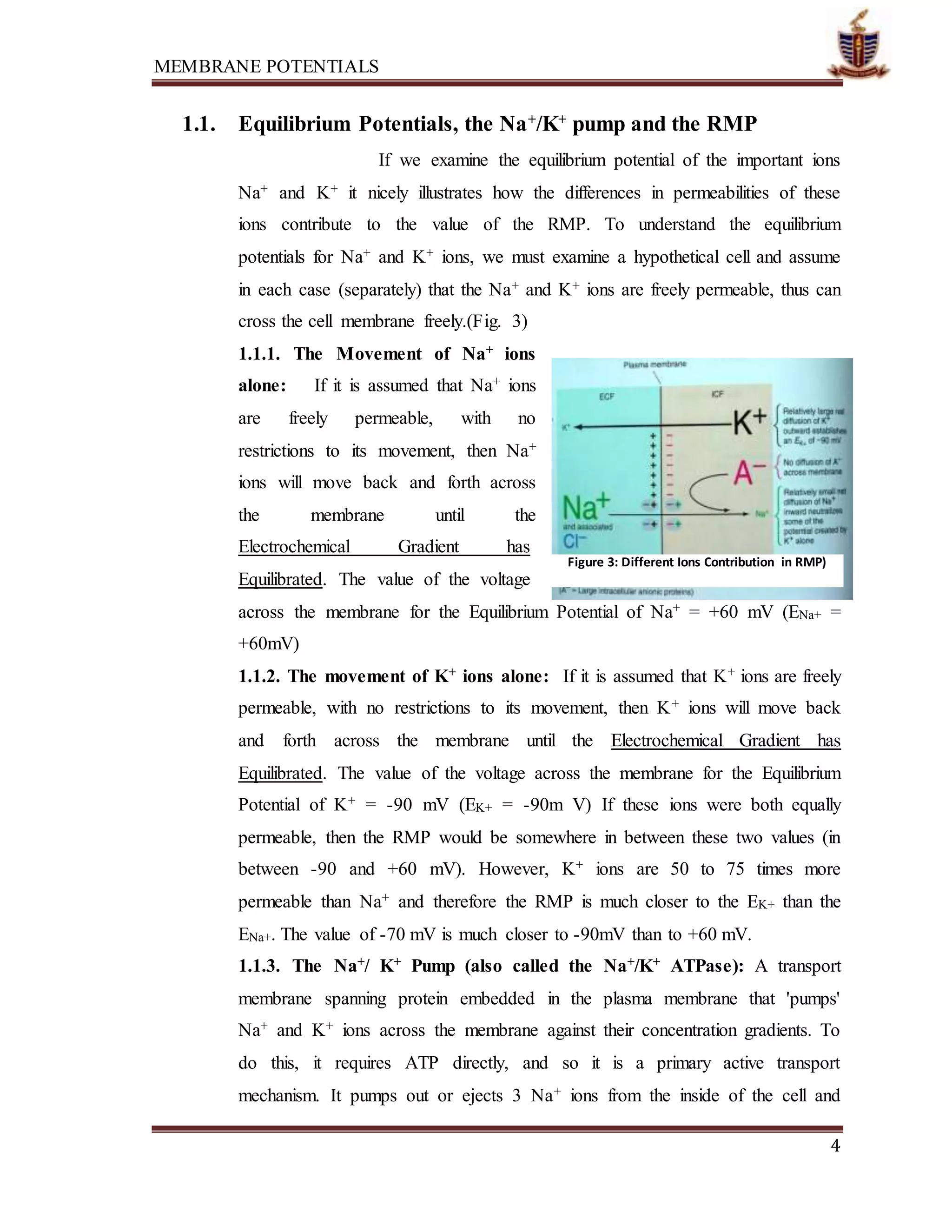 Membrane potentials | PDF
