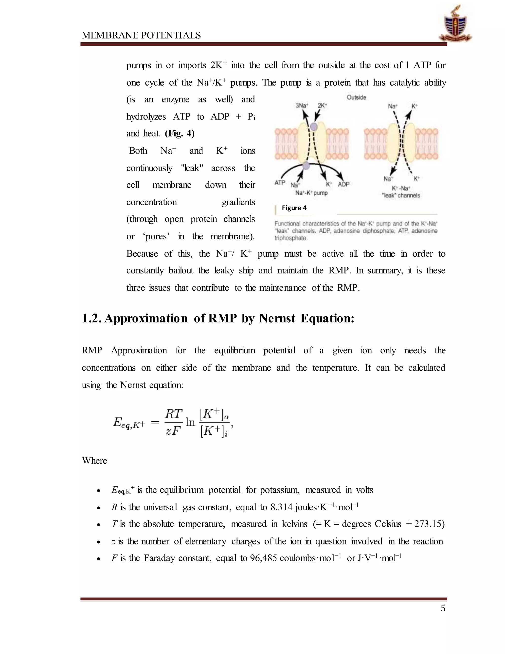 Membrane potentials | PDF