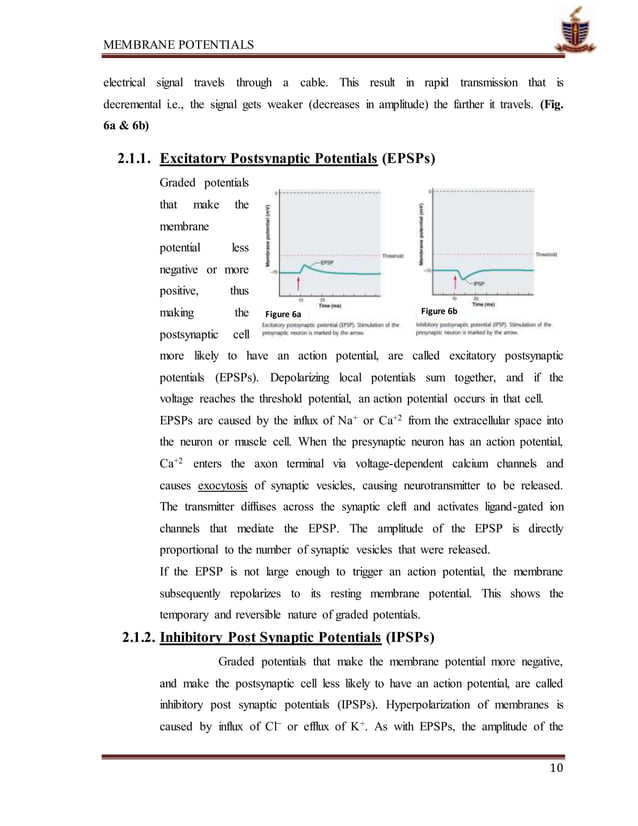 Membrane potentials | PDF