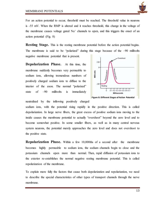 Membrane potentials | PDF