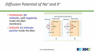 Membrane potentials & Resting Membrane Potential (RMP) | PPTX