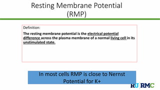 Membrane potentials & Resting Membrane Potential (RMP) | PPTX