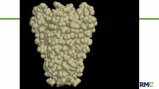Membrane potentials & Resting Membrane Potential (RMP) | PPTX