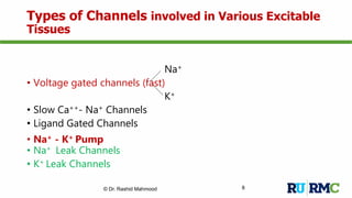 Membrane potentials & Resting Membrane Potential (RMP) | PPTX