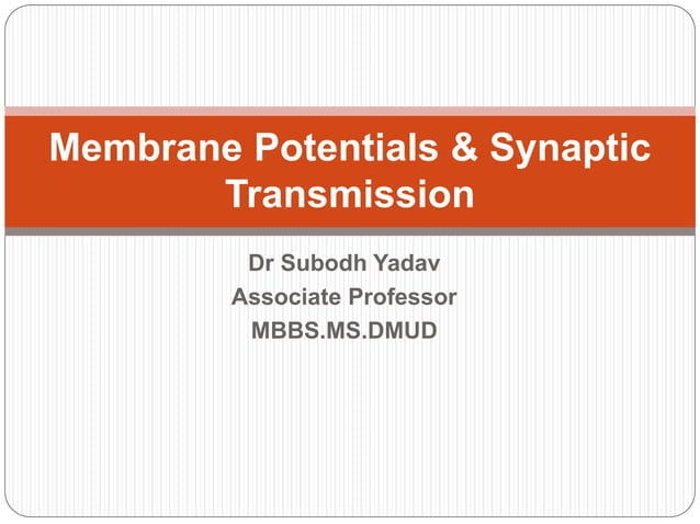 Membrane Potentials Synaptic Transmission.pptx