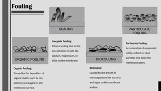 Membrane Processing and its application in food industry. | PPTX