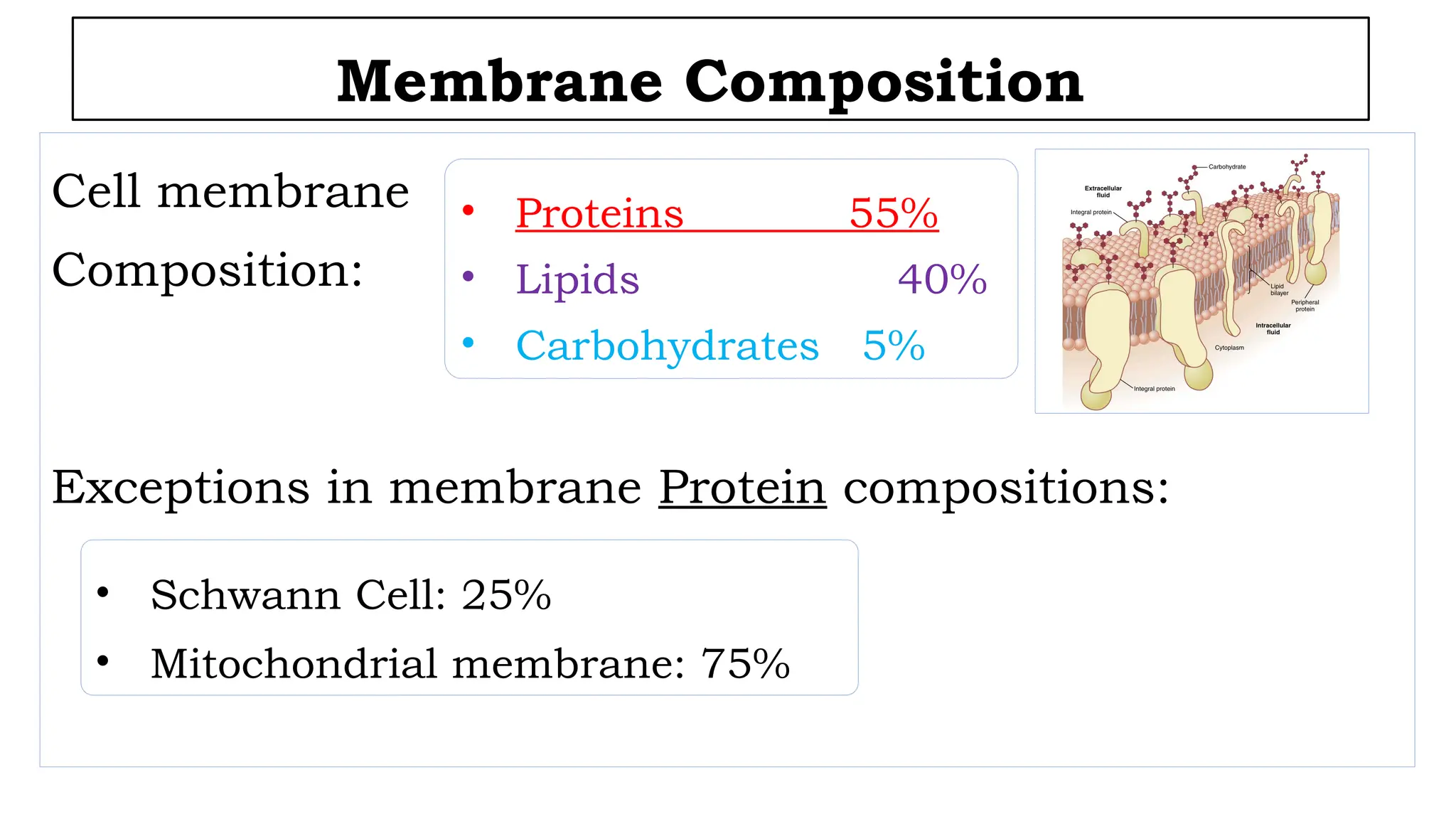 Cell Membrane Proteins (Physiology).pptx