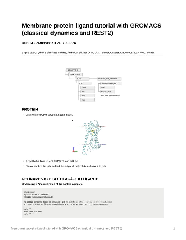 Membrane protein-ligand tutorial with GROMACS.pdf | Chemistry | Science