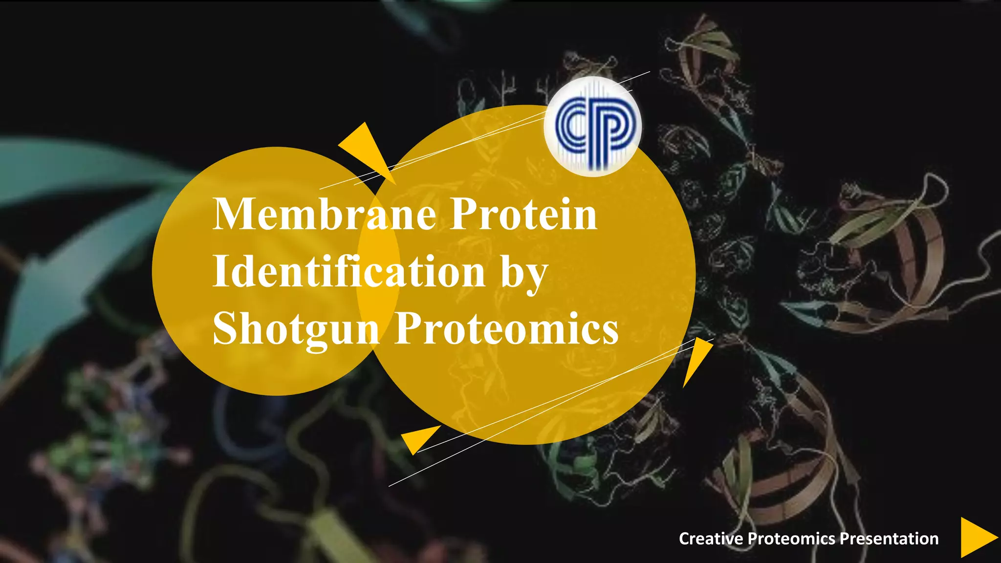 Membrane protein identification by shotgun proteomics | PPTX