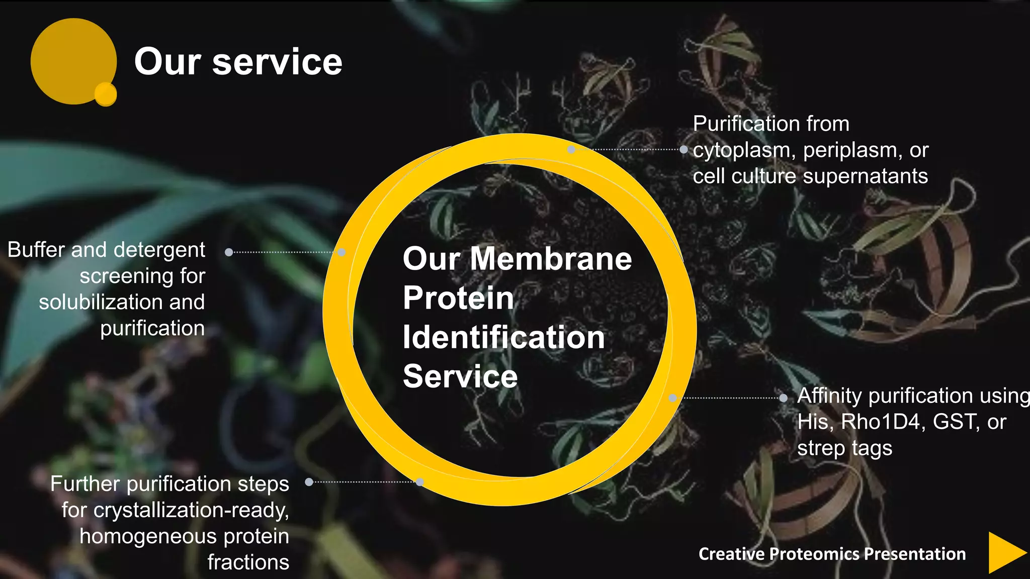 Membrane protein identification by shotgun proteomics | PPT Membrane protein identification by shotgun proteomics | PPT