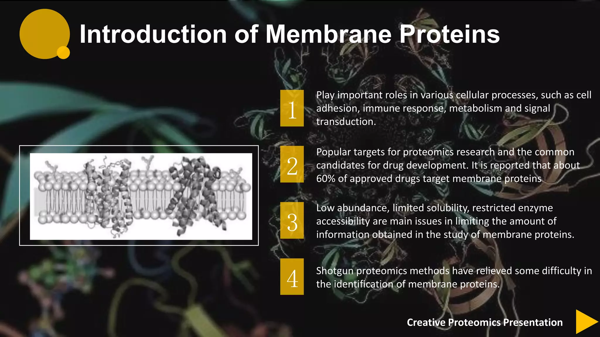 Membrane protein identification by shotgun proteomics | PPTX