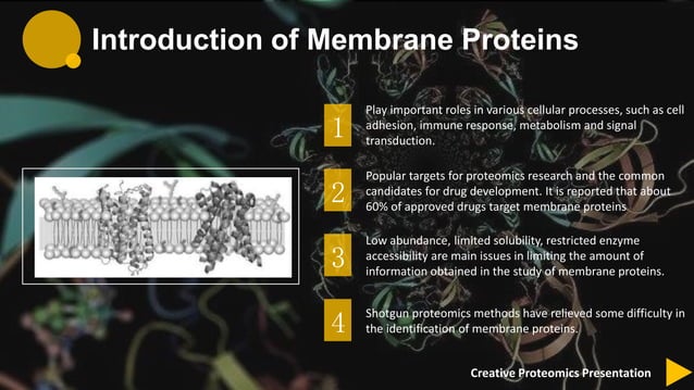 Membrane protein identification by shotgun proteomics Membrane protein identification by shotgun proteomics