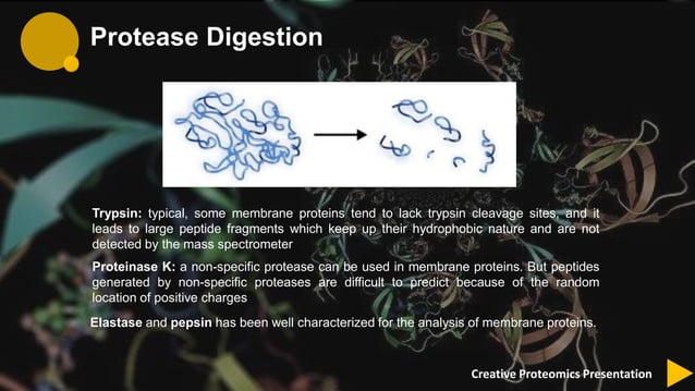 Membrane protein identification by shotgun proteomics Membrane protein identification by shotgun proteomics