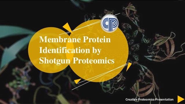 Membrane protein identification by shotgun proteomics Membrane protein identification by shotgun proteomics