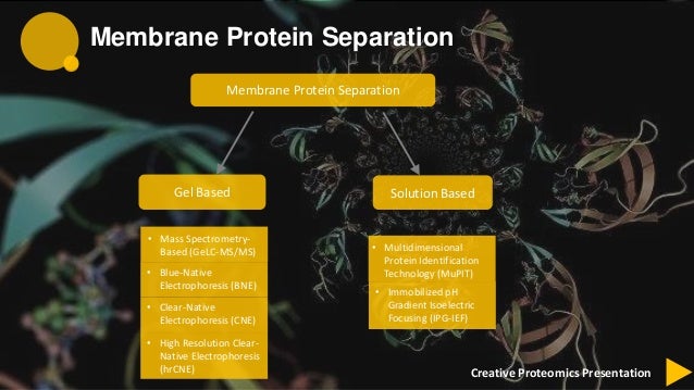 Membrane protein identification by shotgun proteomics Membrane protein identification by shotgun proteomics