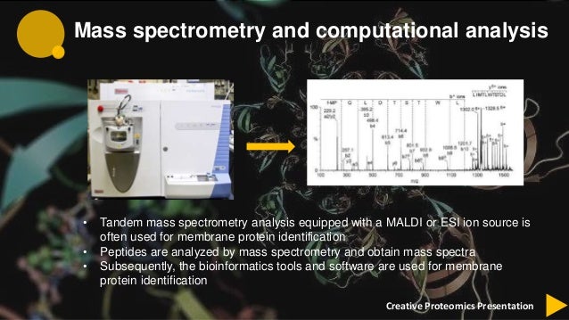 Membrane protein identification by shotgun proteomics Membrane protein identification by shotgun proteomics