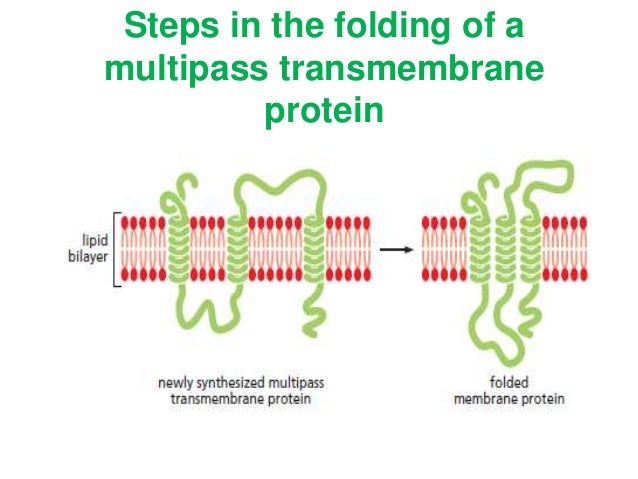 Membrane proteins