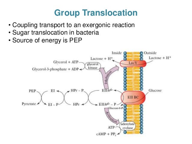 Membrane proteins