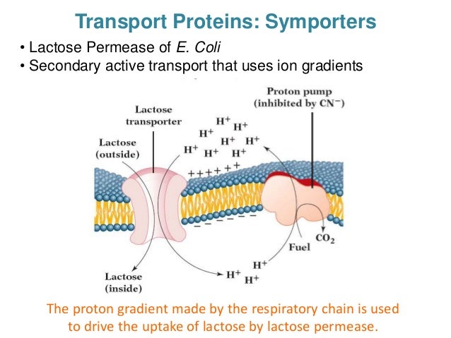 Membrane proteins