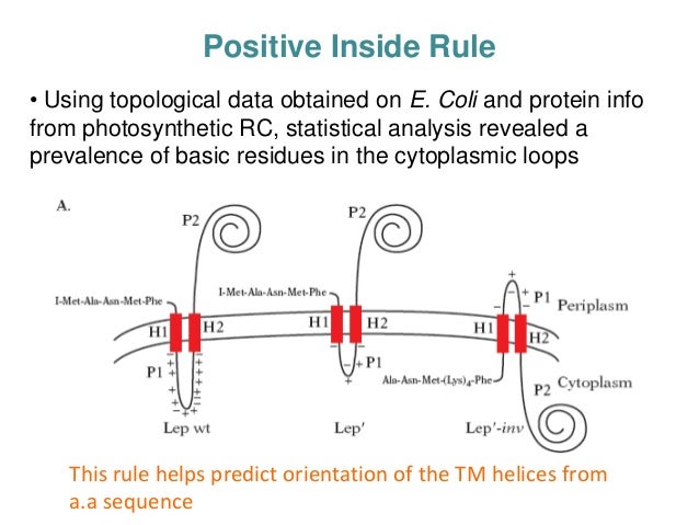 Membrane proteins