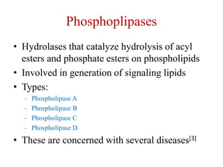 Membrane Proteins, Receptors and Phospholipases | PPTX