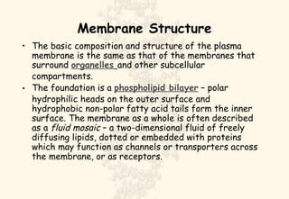 Membranes | PPT