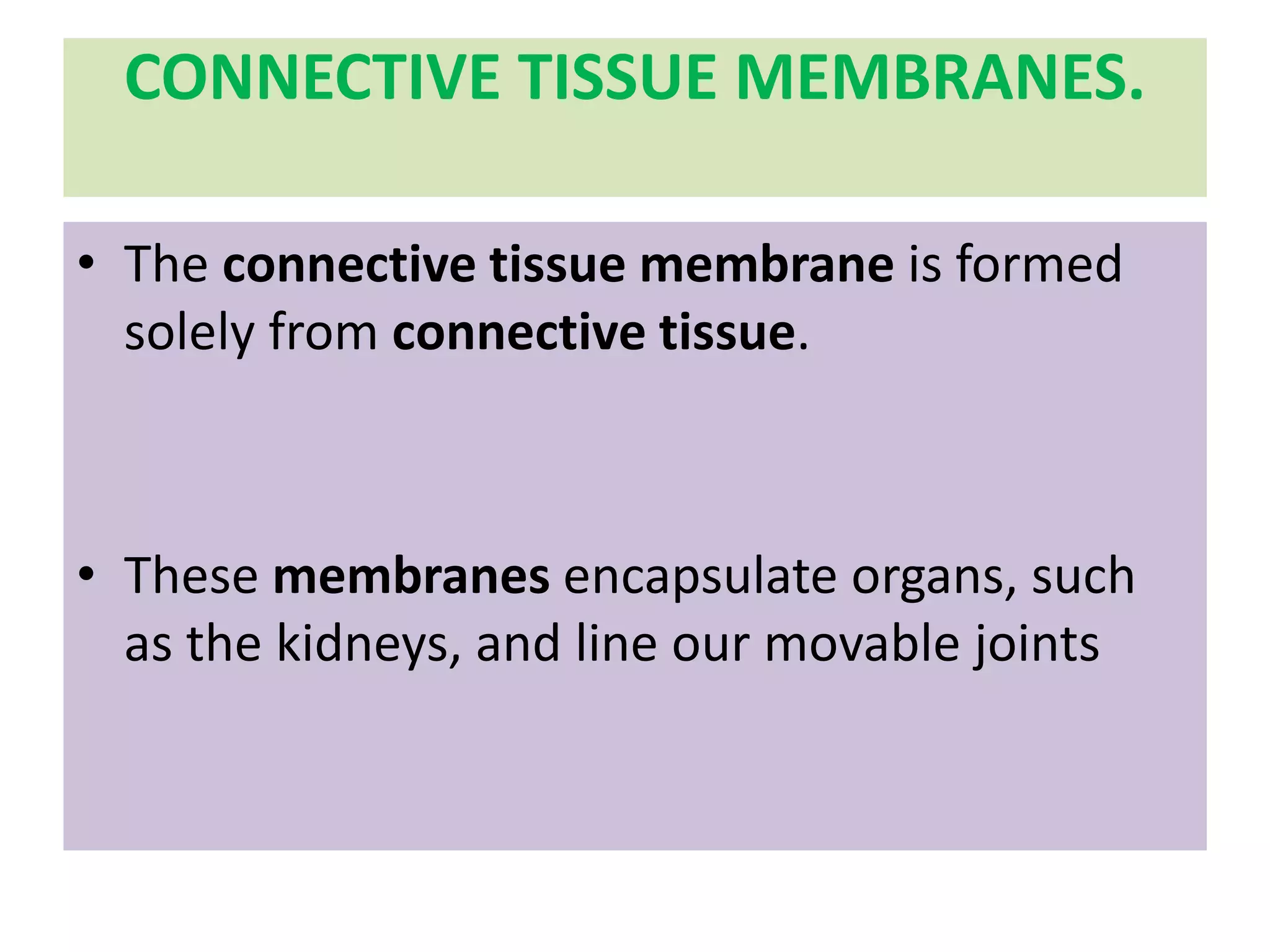 Membranes | PPTX