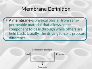 Membranes-Presentation for gas separation | PPSX