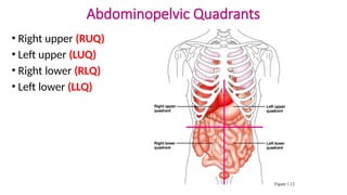 Membranes and Body Cavities.pptx