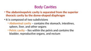 Membranes and Body Cavities.pptx