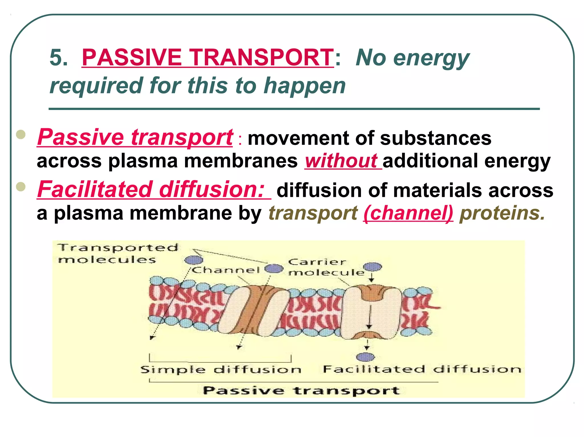 Membranes and osmosis | PPT