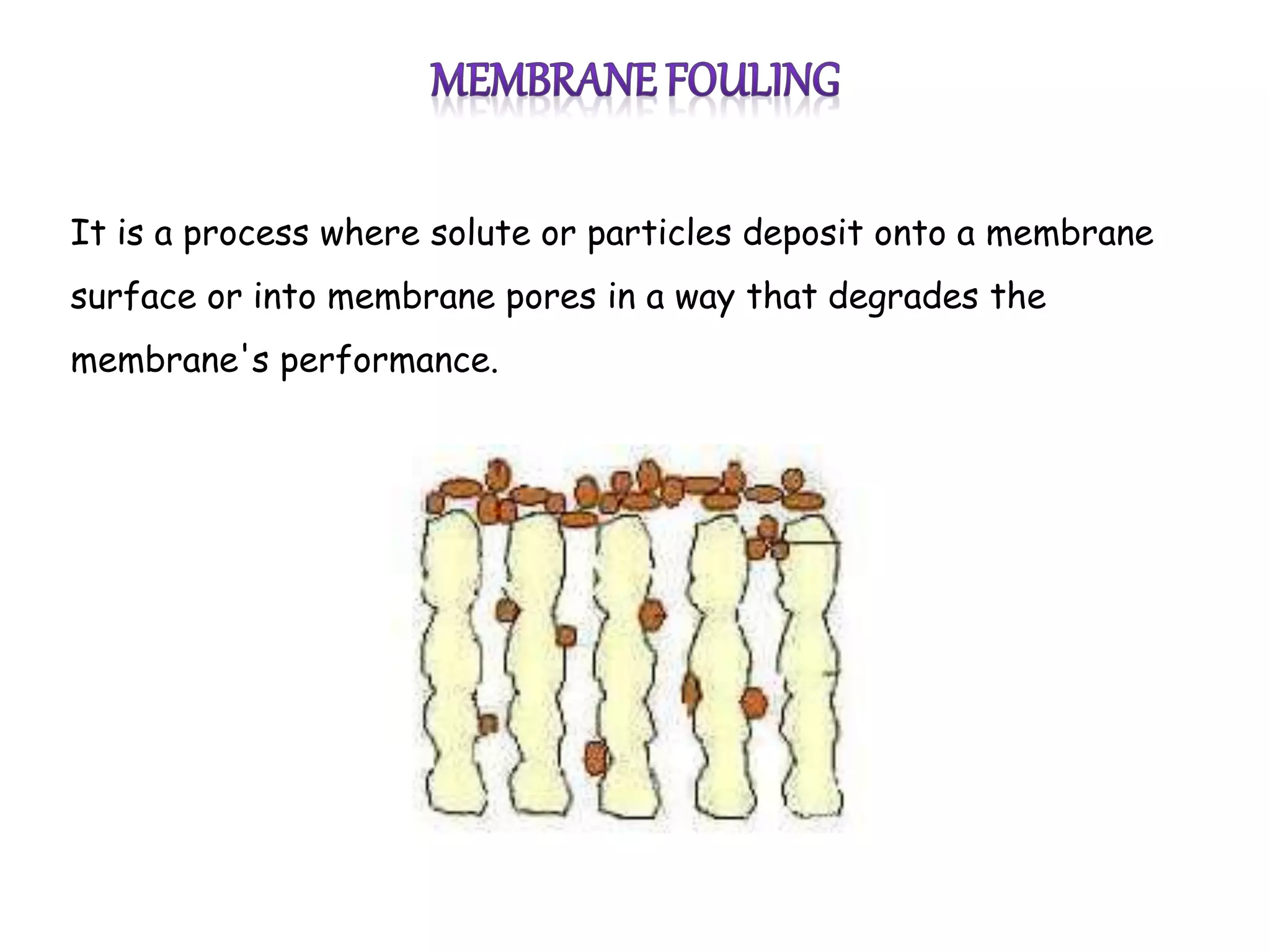 Membrane separation process and its applications in food processing | PPTX