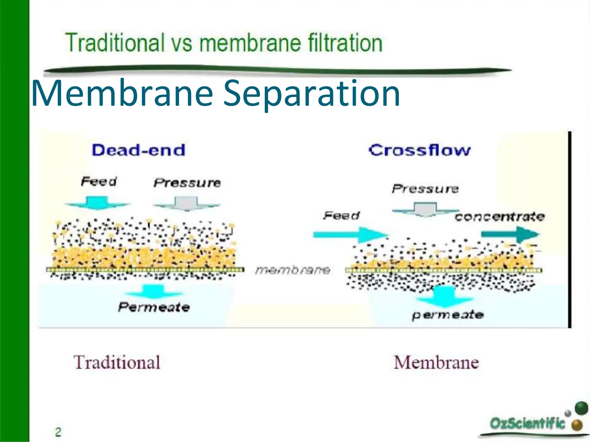 The membrane separation for beginner.pptx