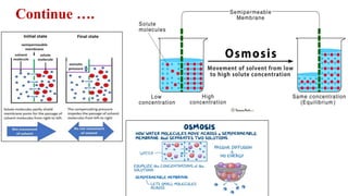 membrane separation technique in food science | PDF