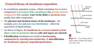 membrane separation technique in food science | PDF