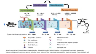 membrane separation technique in food science | PDF