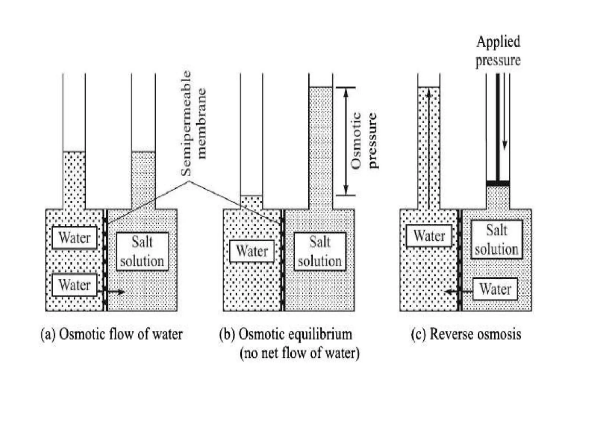 Membrane separation process | PPTX | Chemistry | Science