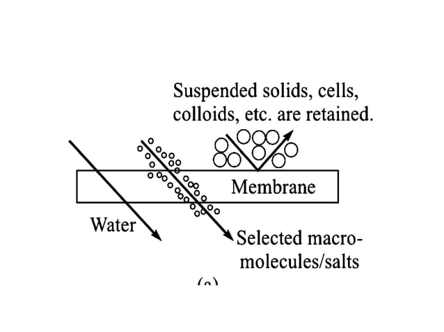 Membrane separation process | PPT