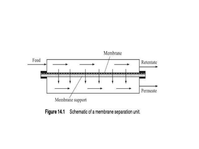 Membrane separation process | PPT