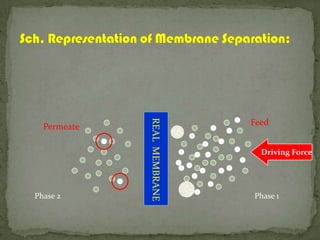 Membrane separation processe | PPTX