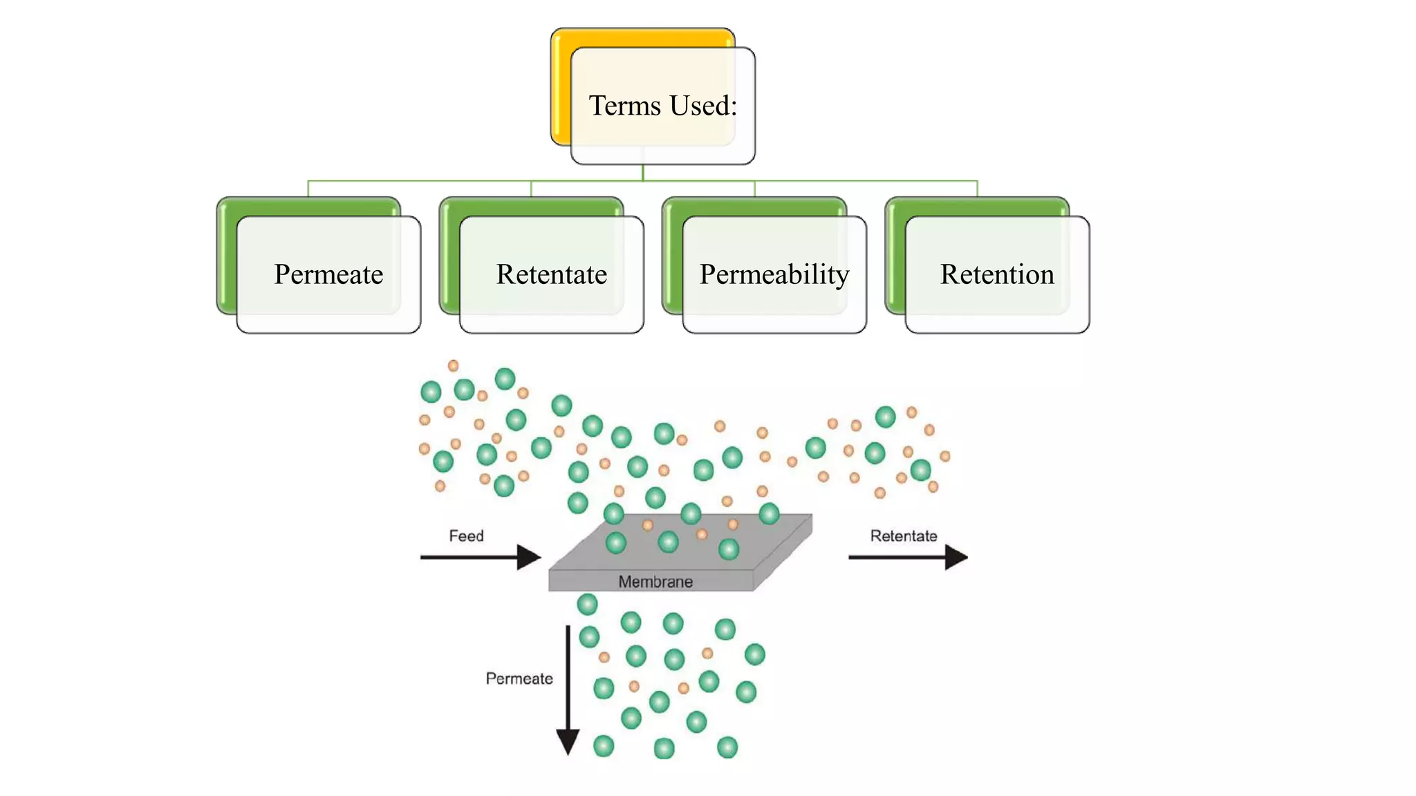 Membrane separation processes | PPTX