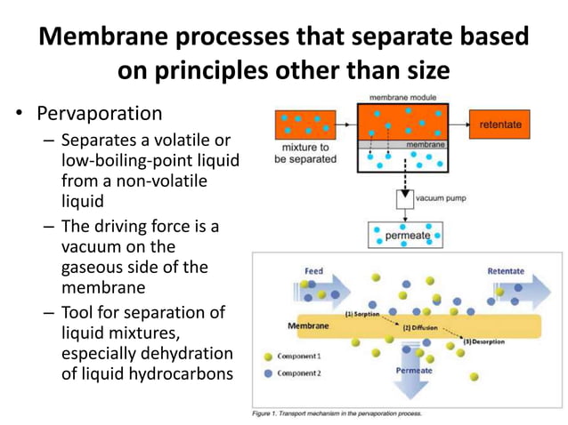Membrane_separations.pptx