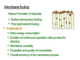 Membrane seperation in milk technology | PDF